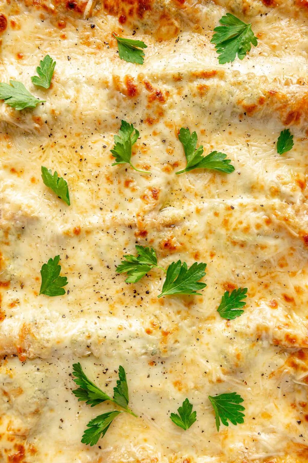 Protein-Packed Beef & Zucchini Lasagna - Rachael's Good Eats