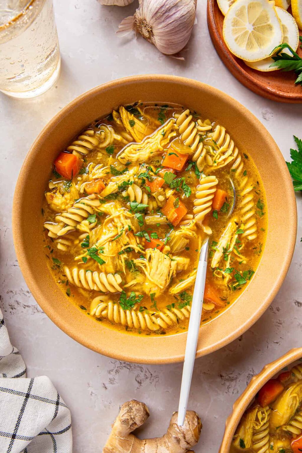 Healing Chicken Soup - Rachael's Good Eats