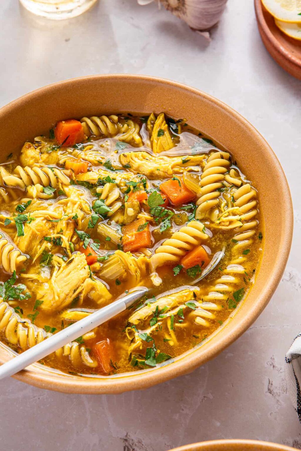 Healing Chicken Soup - Rachael's Good Eats