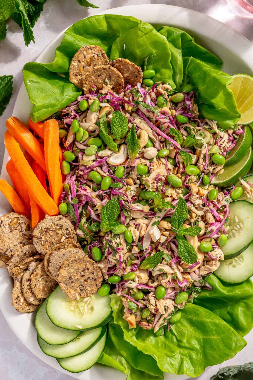 Protein-Packed Chicken and Edamame Salad - Rachael's Good Eats