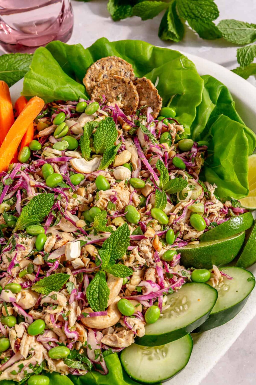 Protein-Packed Chicken and Edamame Salad - Rachael's Good Eats