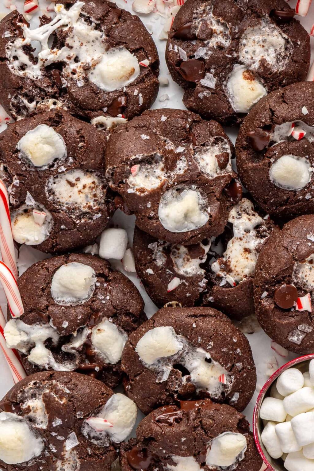 Hot Cocoa Cookies - Rachael's Good Eats