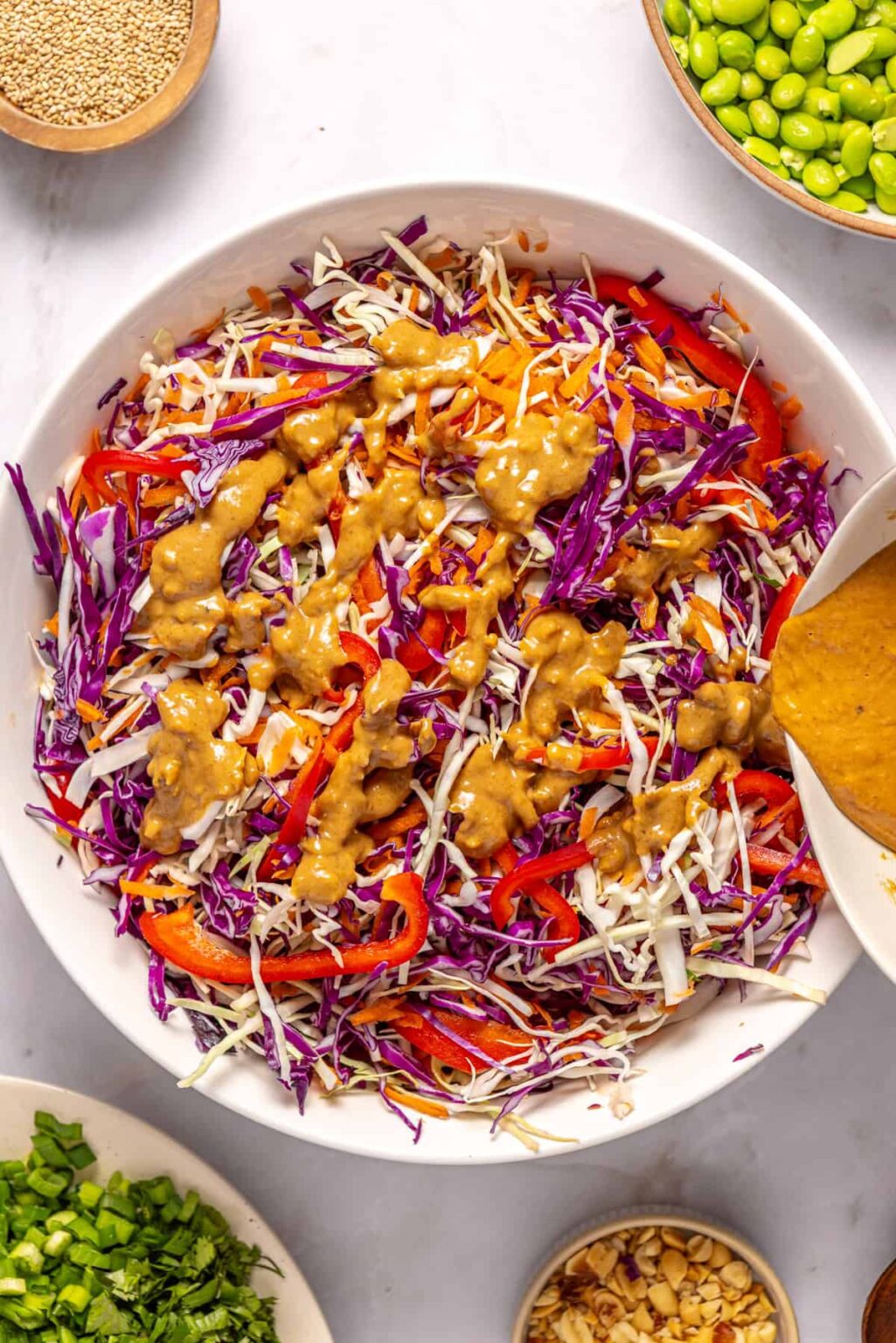 Crunchy Peanut Cabbage Salad - Rachael's Good Eats